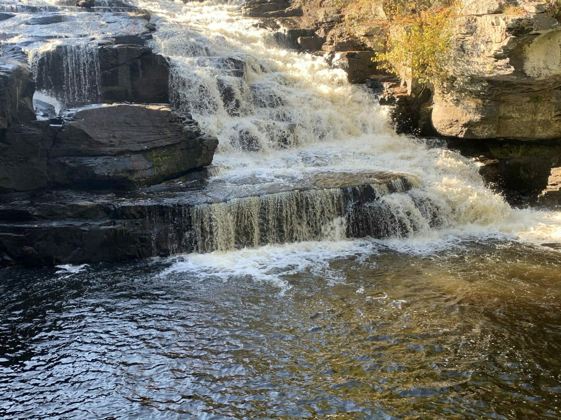 How Seasonal Changes Shape Effective Pond Care Strategies | Garden ...